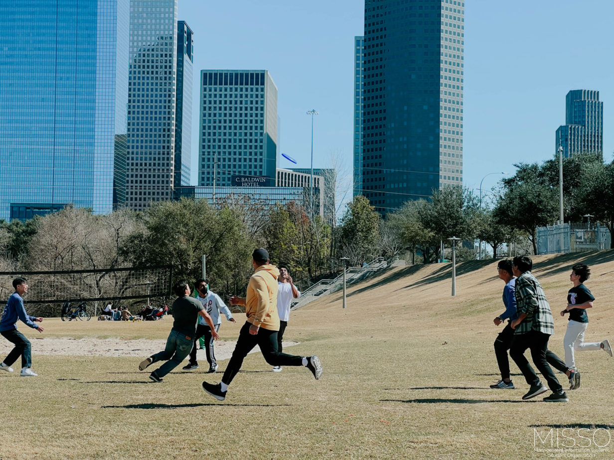 Why MISSO? – MISSO